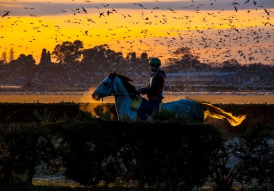 Inaugura muestra de ARGRA