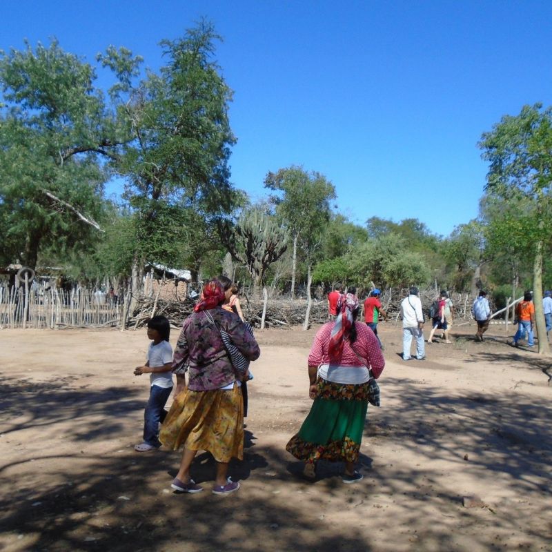 Recuperación de tierras indígenas en el Gran Chaco: una buena noticia ...