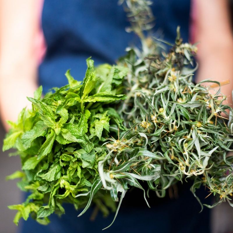 Las mujeres de los yuyos